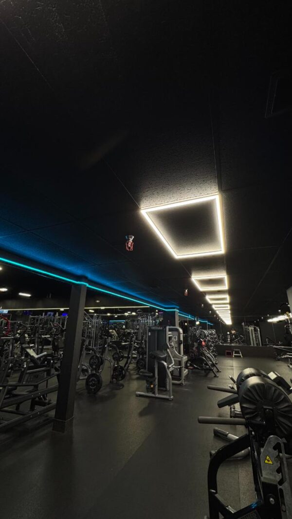 About – CULT FITNESS